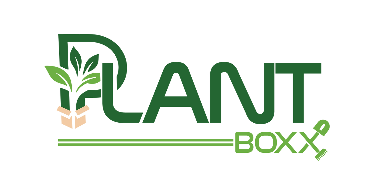 Your Home for Thriving Indoor Plants, Made Simple! – Plant Boxx